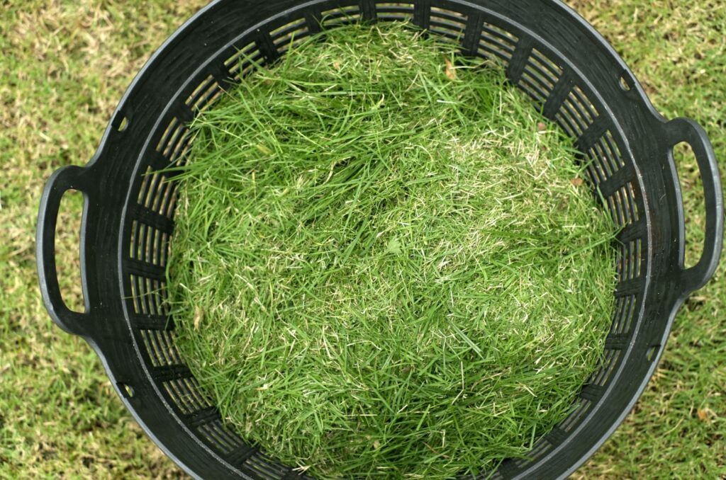 A List Of Grass Clippings As Mulch Pros And Cons