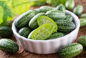 Round Cucumber Varieties, Their Features, And Care Guides