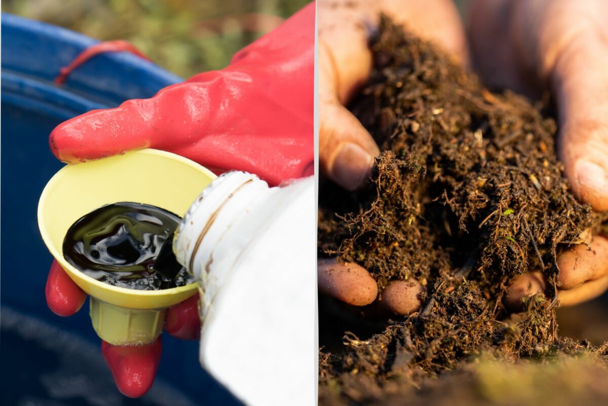 Humic Acid For Lawns: Everything You Need To Know