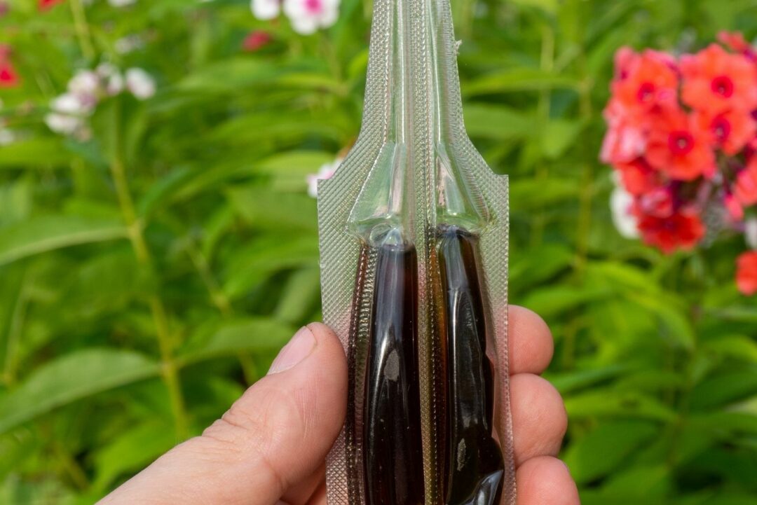 Humic Acid For Lawns: Everything You Need To Know