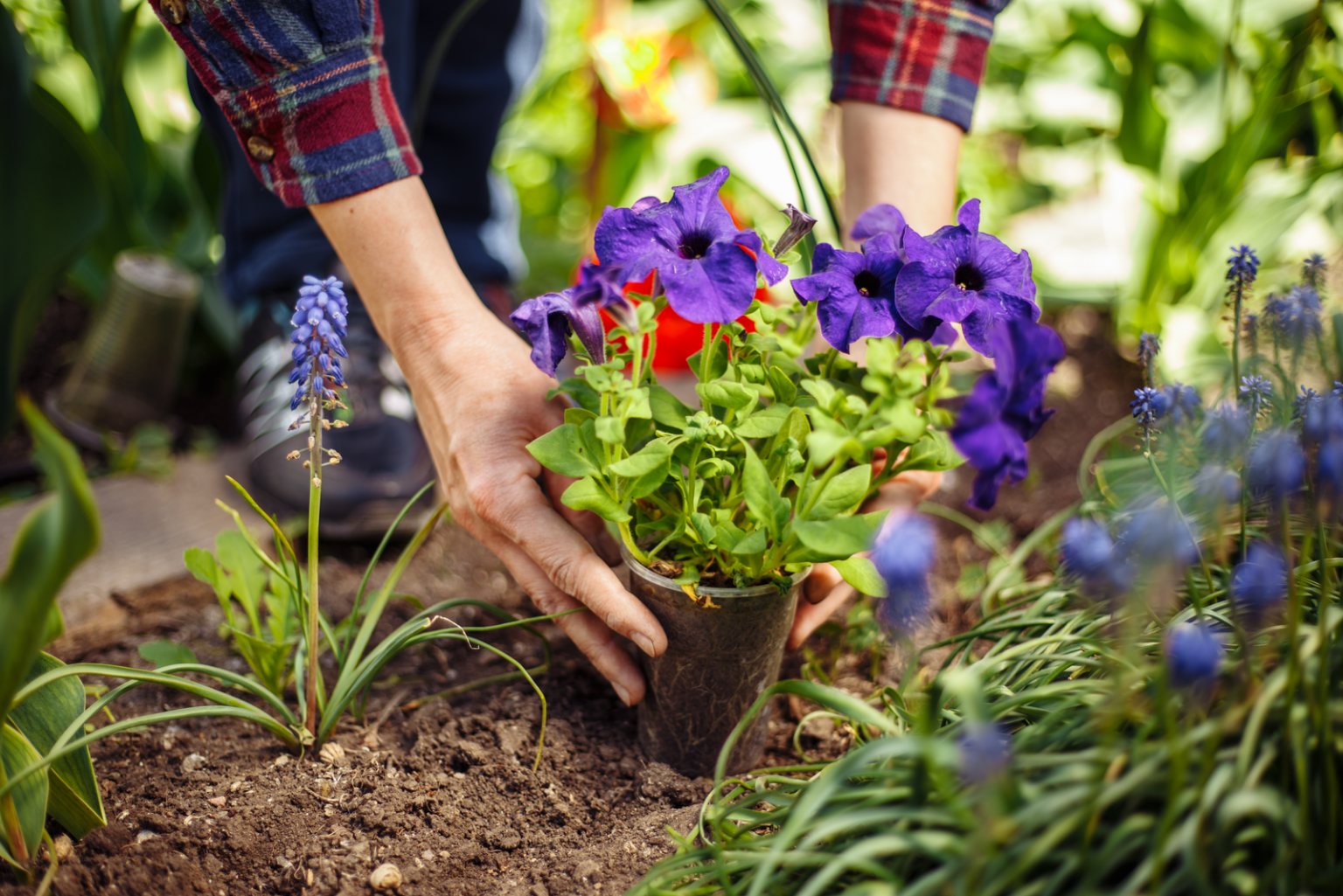 100 Sweet & Inspirational Quotes For Plant Lovers And Admirers