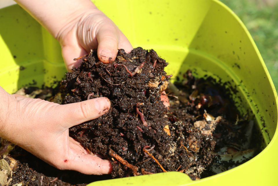 How Long Does It Take To Make Compost? (How To Speed Up)