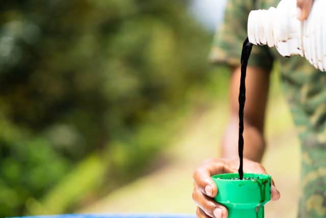 Humic Acid For Lawns: Everything You Need To Know