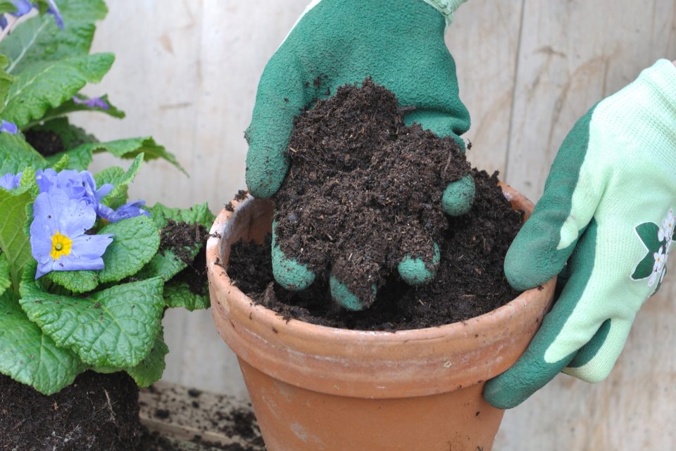 Loam Based Compost: All You Need To Know