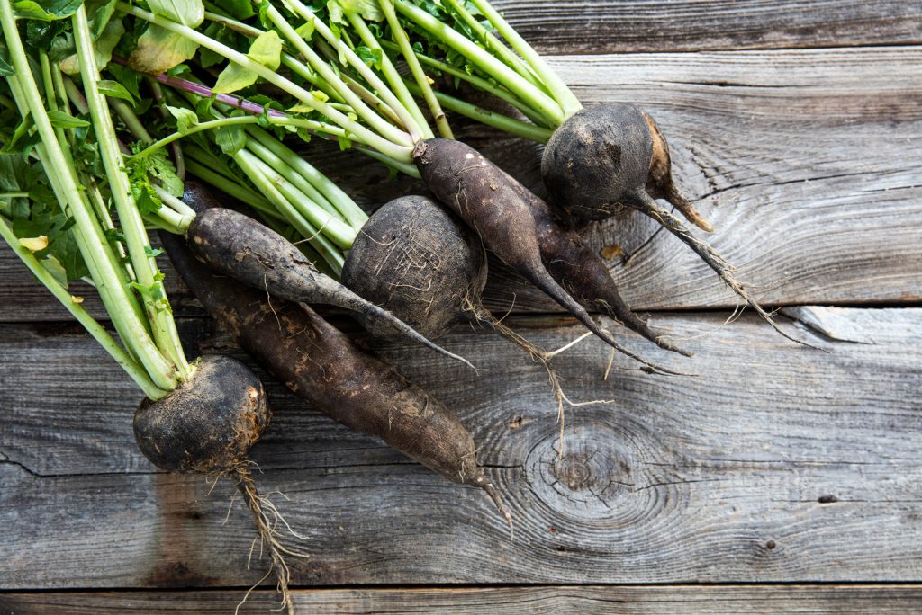 Want to Grow Gothic Garden? Plant These 12 Black Vegetables