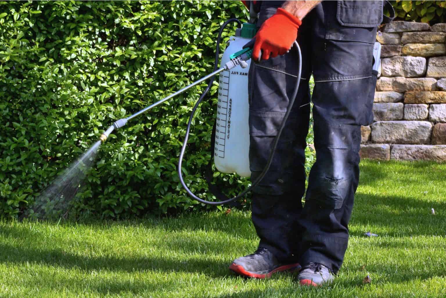 Humic Acid For Lawns: Everything You Need To Know