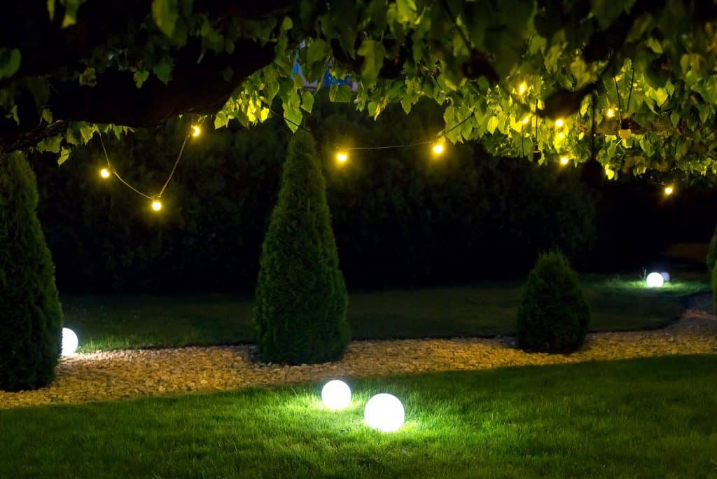 Does Grass Grow At Night? Find Out The Answer Right Here