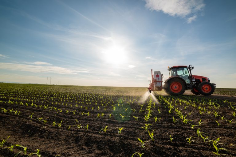 Triple 19 Fertilizer: Where, When, And How To Use It