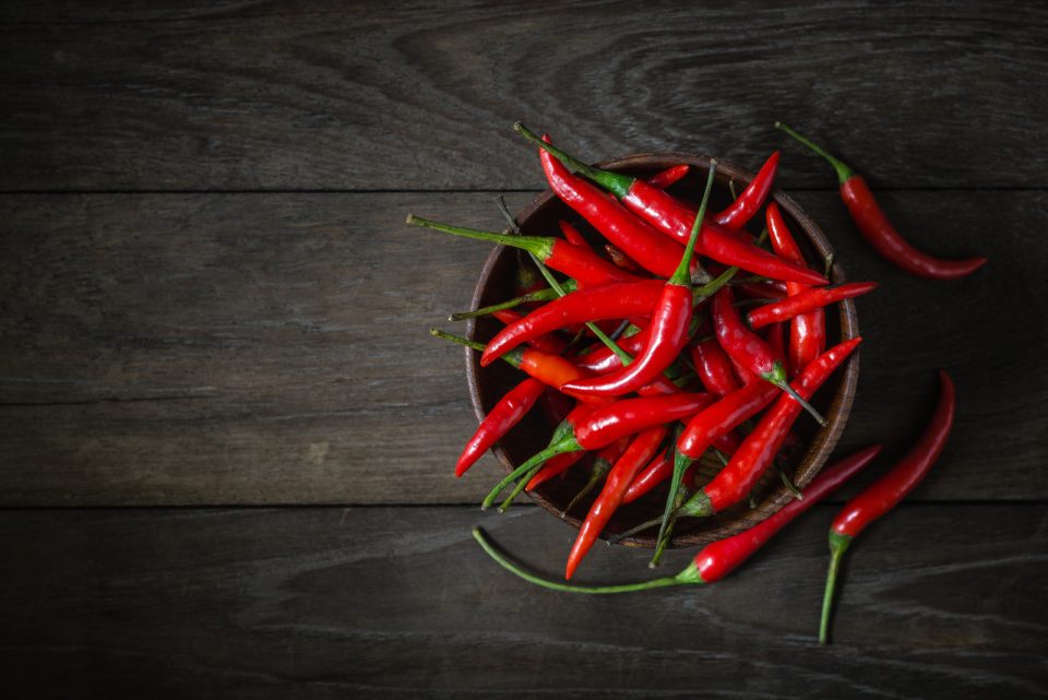 The Chilli Plant Growing Stages: All You Need To Know