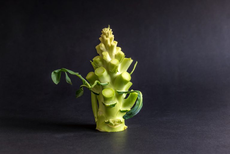 How To Grow Broccoli From Stem And Seed: Ultimate Guide