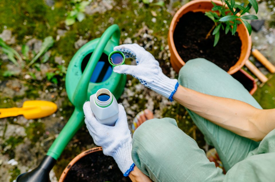 What Is 14 14 14 Fertilizer And How To Use It