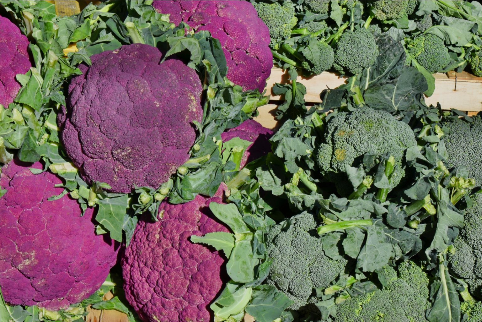 Blooming Broccoli: All You Need To Know About This Tasty Veg