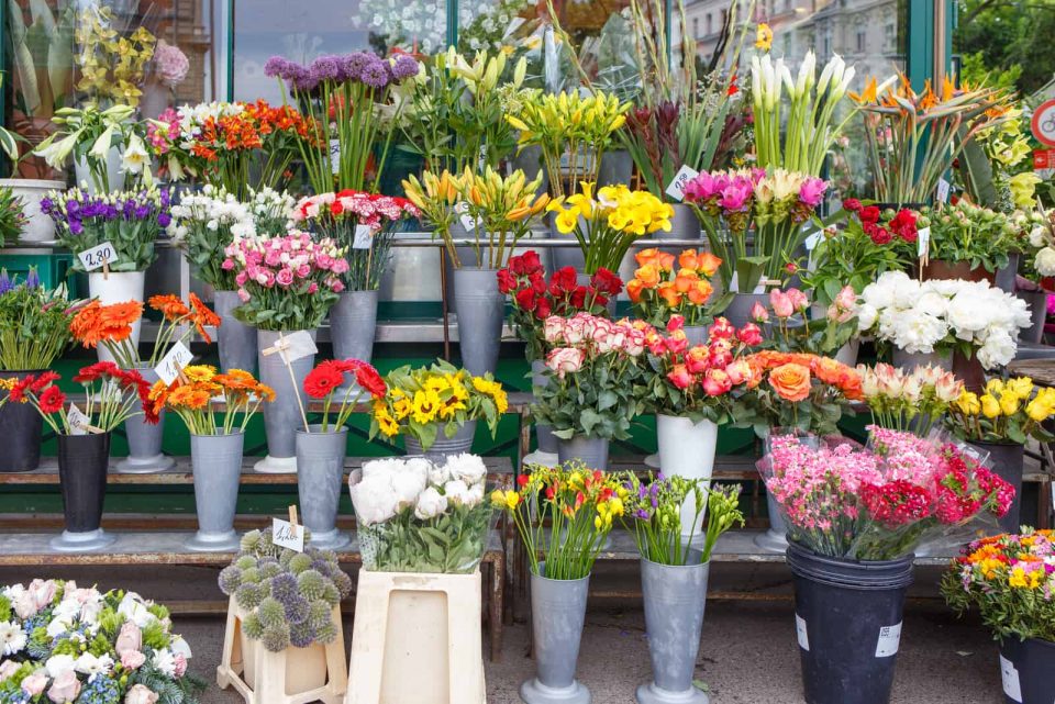 The Most Beautiful Italian Flowers & What They Symbolize