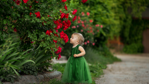 Best Rose Quotes For Instagram + Rose And Flower Captions