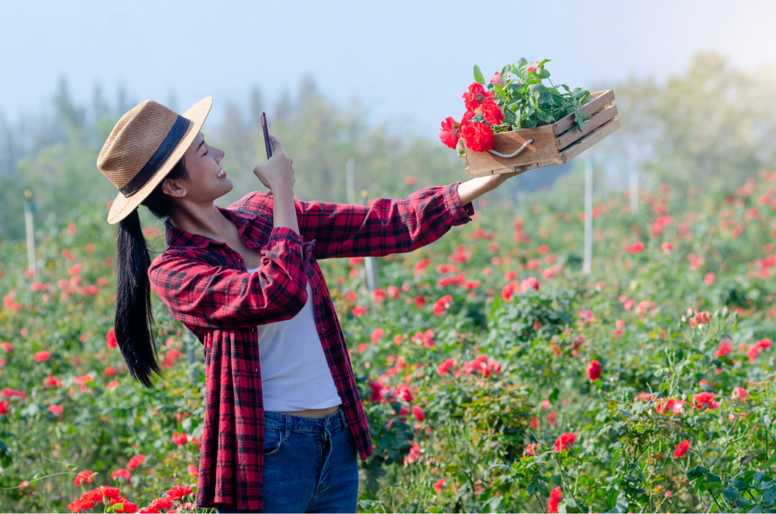 Best Rose Quotes For Instagram + Rose And Flower Captions