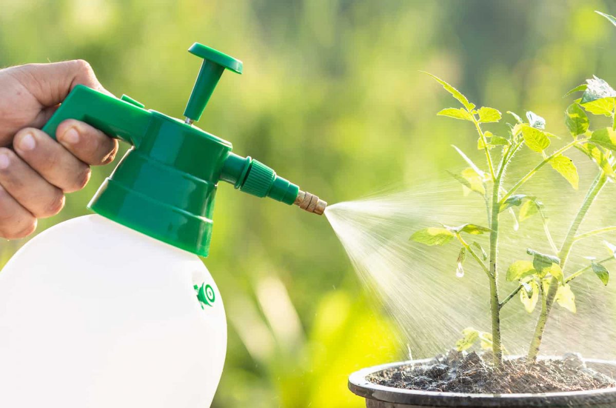 When To Apply Humic Acid: Find Out The Answer Here