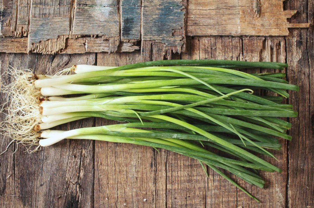 Onion Roots: Everything You Need To Know Right Here