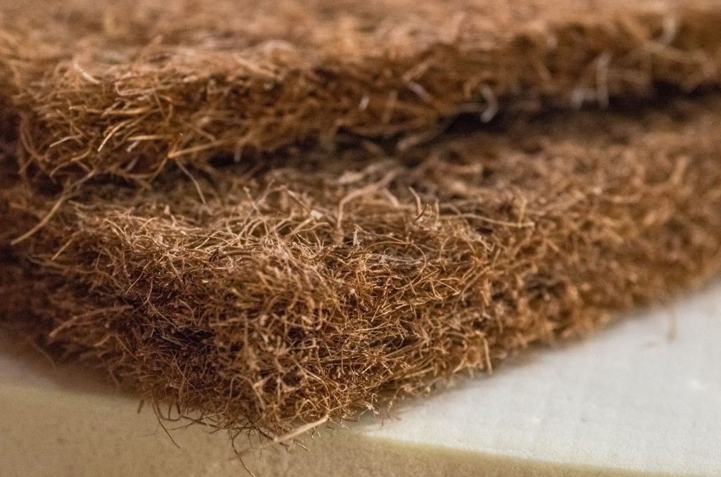 Benefits Of Using Coco Coir For Plants Indoors & Outdoors