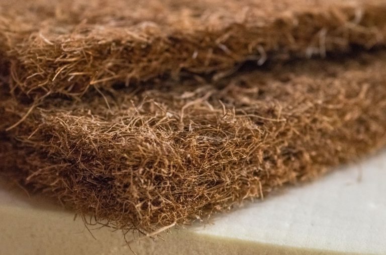 Benefits Of Using Coco Coir For Plants Indoors & Outdoors