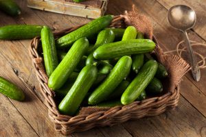 The Cucumber Plant Stages And What To Expect From Them