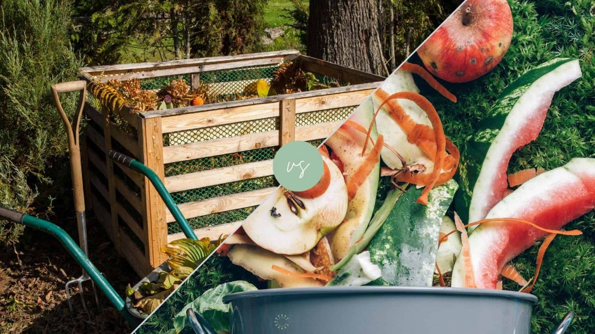 9 Factors To Help You Decide Between Compost Pile vs Bin