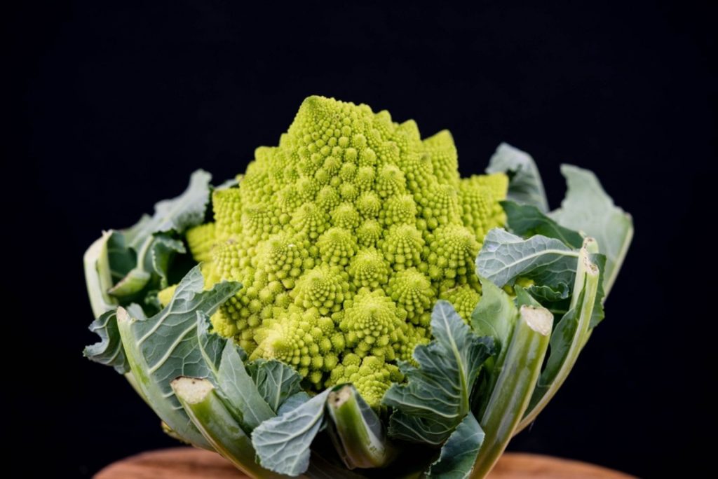 Is Cauliflower Man-Made? A Helpful Guide To This Plant’s Origin