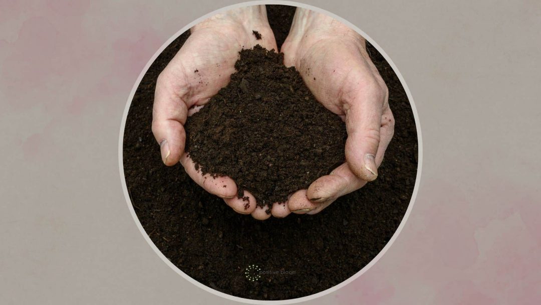 What Attracts Flies In Compost + How To Get Rid Of Them