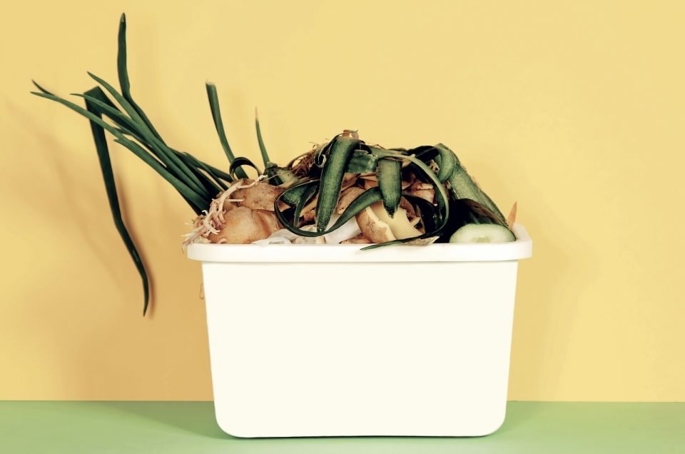 What Attracts Flies In Compost + How To Get Rid Of Them