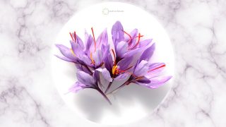 A List Of Lovely Persian Flowers And What They Symbolize