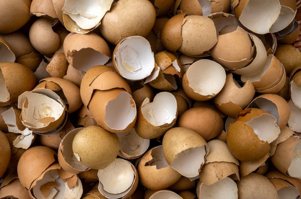 6 Best Ways To Use Eggshells In Potted Plants + A DIY Recipe