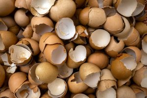 6 Best Ways To Use Eggshells In Potted Plants + A DIY Recipe