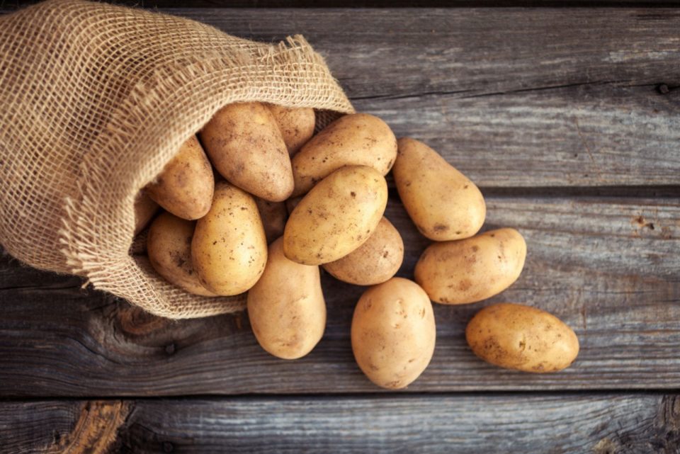 How Many Potatoes Per Plant And How To Get More