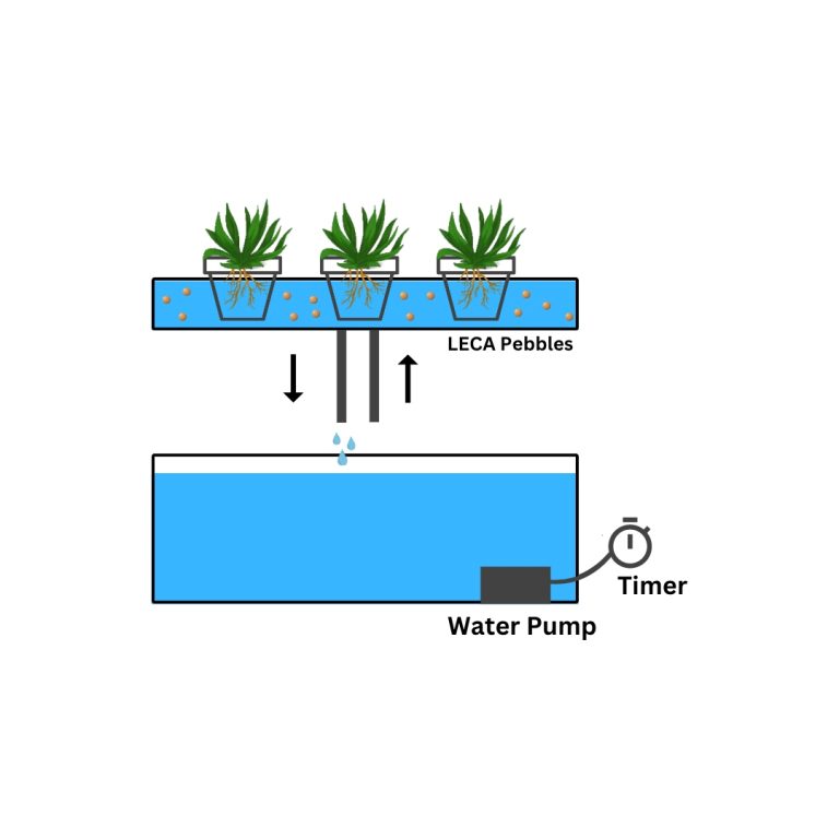 6 Types Of Hydroponic Systems + Tips To Choose Between Them