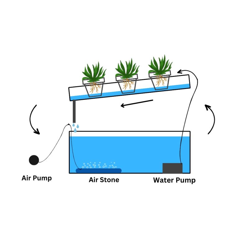 6 Types Of Hydroponic Systems + Tips To Choose Between Them
