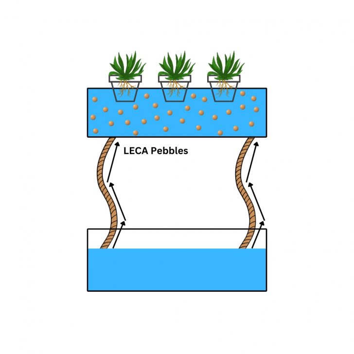 6 Types Of Hydroponic Systems + Tips To Choose Between Them
