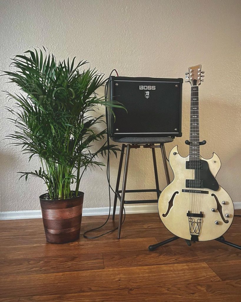 Cat Palm vs Majesty Palm – The Winner Takes It All