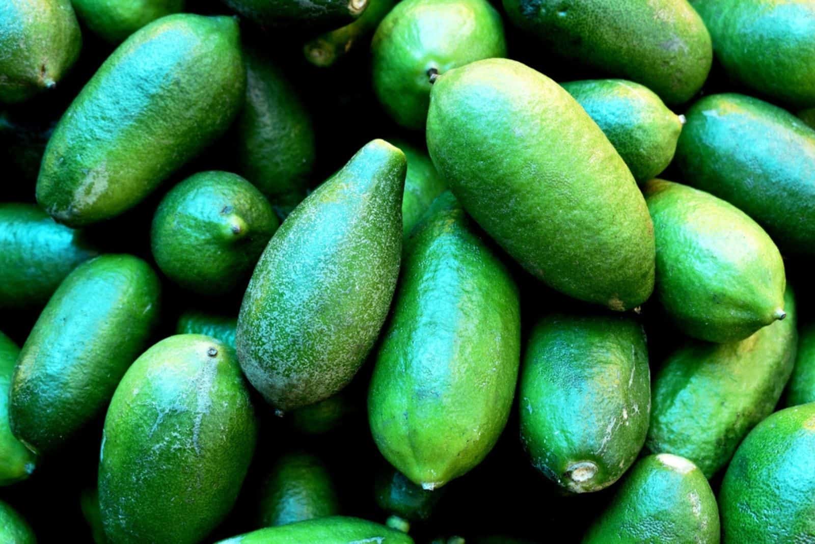 31 Best Lemon Varieties To Add To Your Orchard