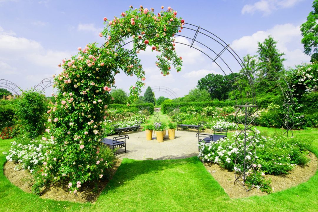 17 Easy DIY Landscaping Ideas And Styles To Spruce Up Your Yard