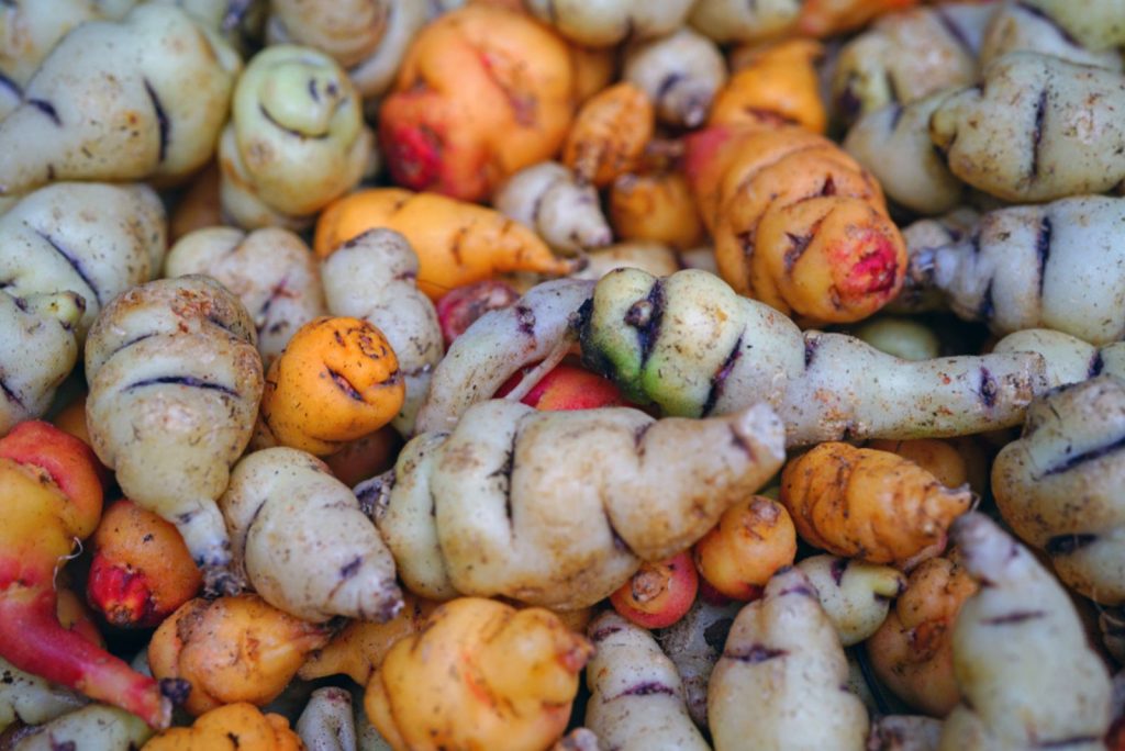 A List Of 25 Delicious Vegetables Grown Under The Ground