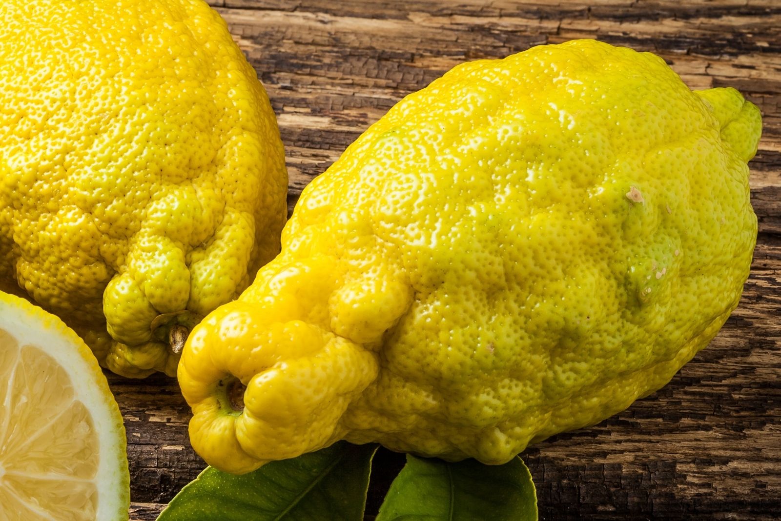 31 Best Lemon Varieties To Add To Your Orchard