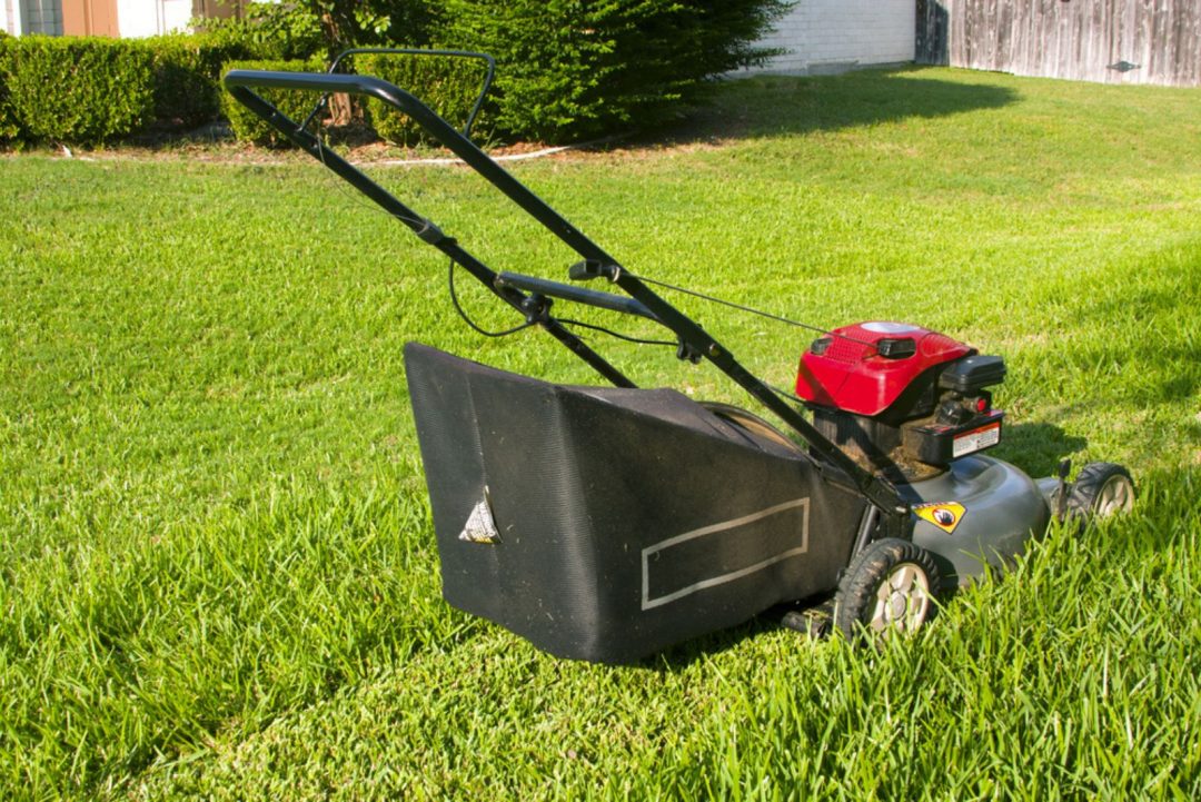 5 Key Differences Between Lawn Sweepers Vs. Baggers - Positivebloom