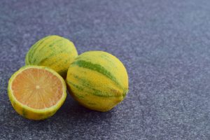 31 Best Lemon Varieties To Add To Your Orchard