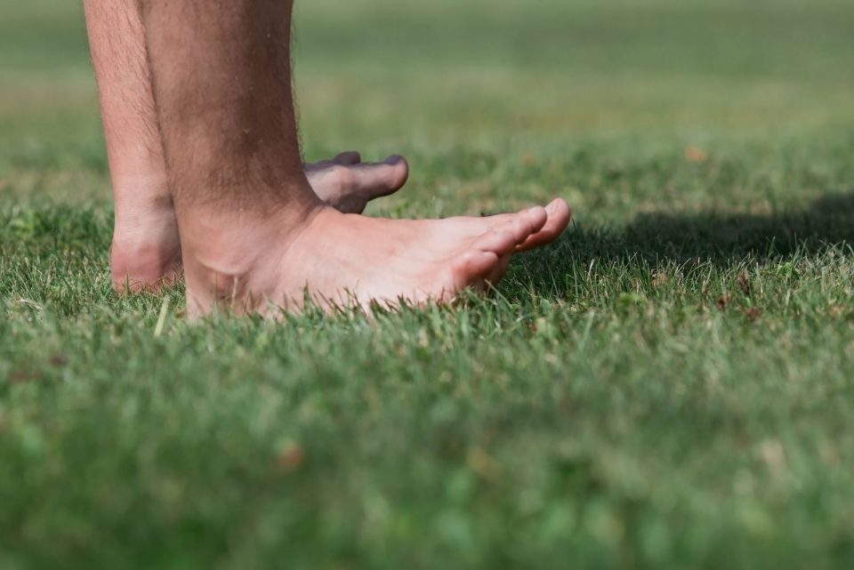 7 Signs Of Grubs In Lawn With Helpful Tips To Remove Them