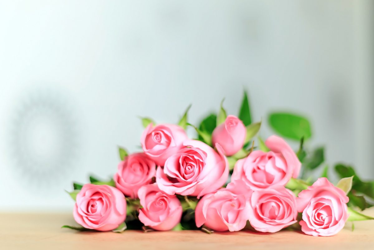 12 Interesting Facts About Roses That Will Blow Your Mind