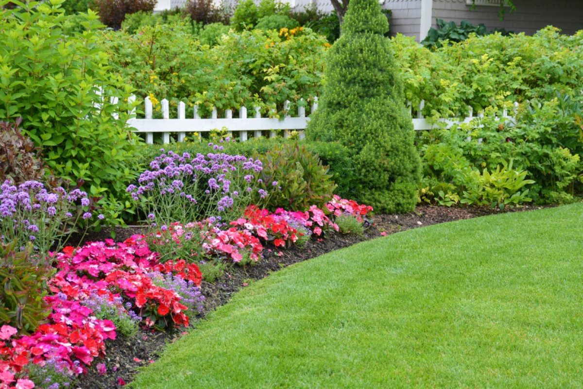 11 Eye-Catching Ideas For Landscaping With Petunias