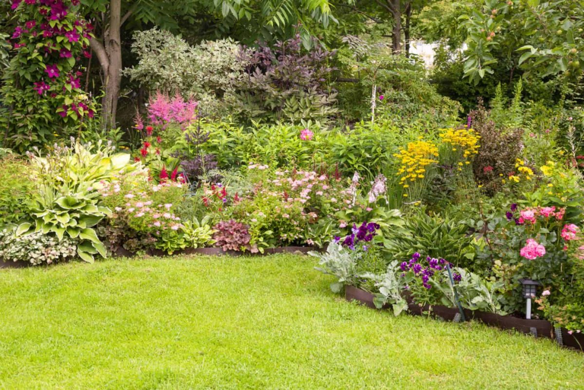 Check Out These Plants That Will Survive The Summer Heat