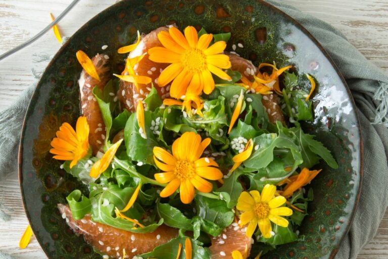 15 Reasons To Plants Marigolds In Your Vegetable Garden