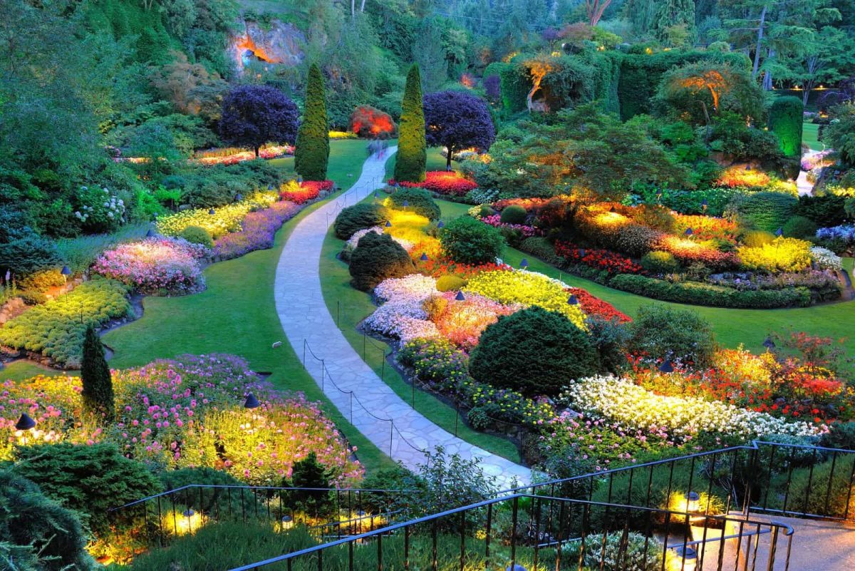 Plant A Moonlight Garden And Experience The Magic Of Night Bloomers