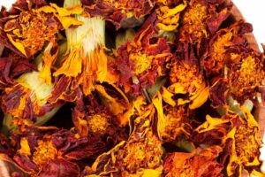 15 Reasons To Plants Marigolds In Your Vegetable Garden