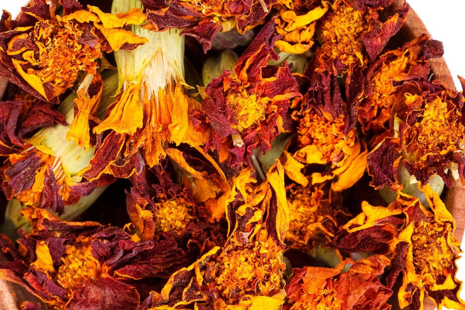 15 Reasons To Plants Marigolds In Your Vegetable Garden